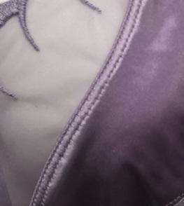 Cortland Intimates Style 7188 Sheer Wired Satin Bra – Rago Shapewear